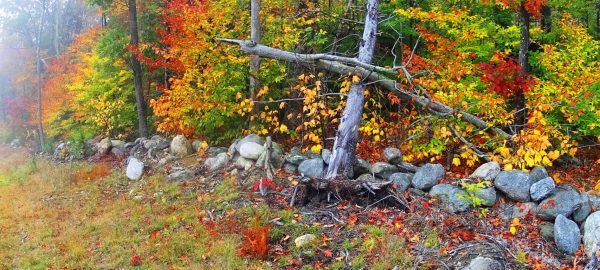 Ashburnham State Forest Reserve | Stonestrider