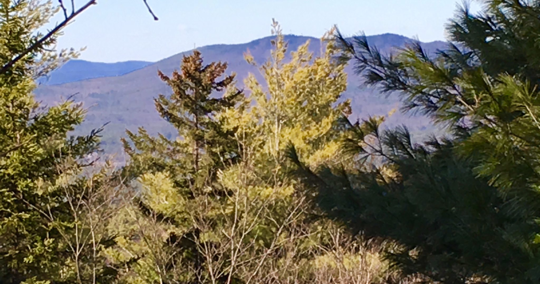 North-Pack Monadnock Mountain | Stonestrider