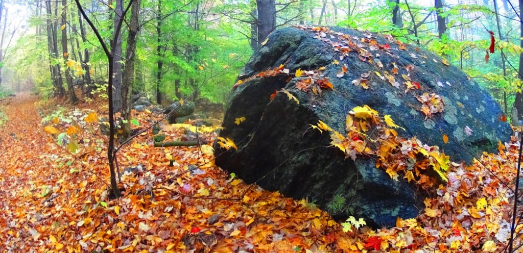 Ashburnham State Forest Reserve | Stonestrider