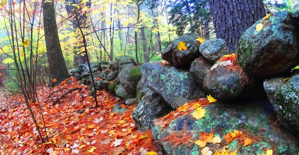 Ashburnham State Forest Reserve | Stonestrider