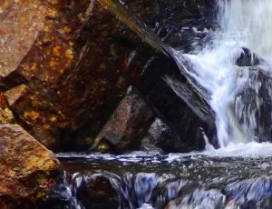 New England | Stonestrider